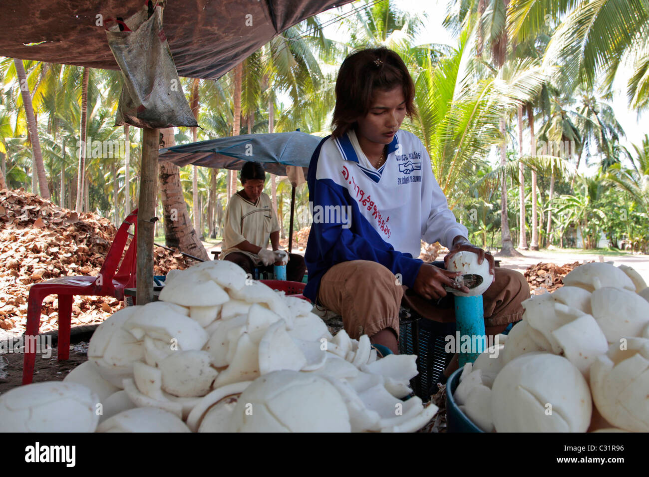 Woman extraction coconut pulp hi-res stock photography and images - Alamy
