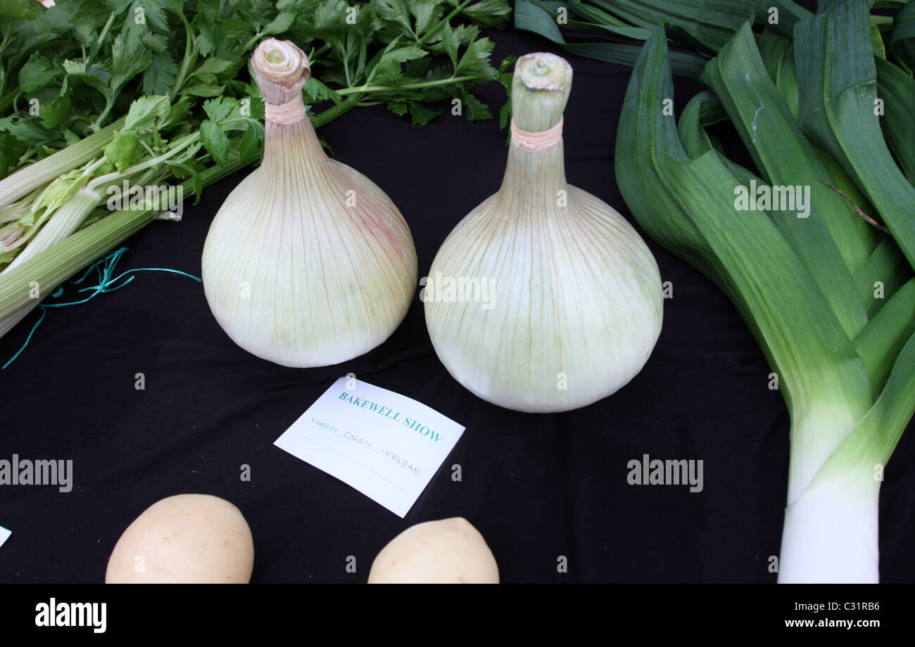 Show onions hi-res stock photography and images - Alamy