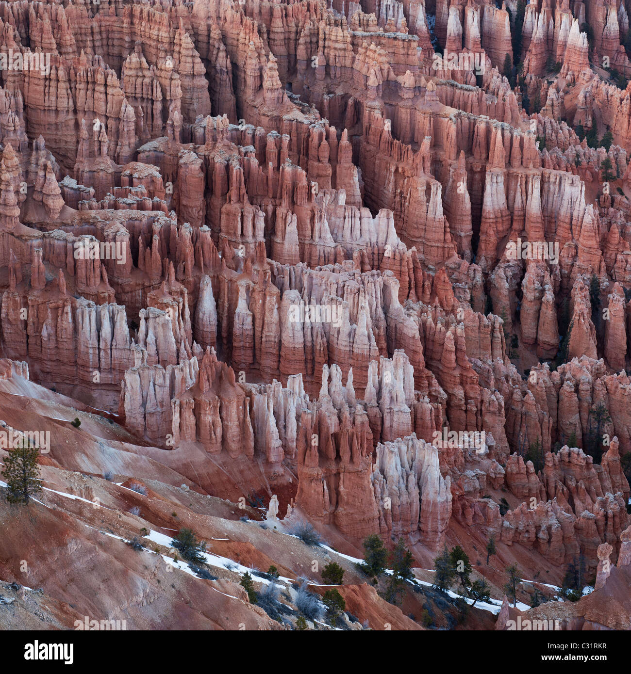 Hoodoo rock formations in Amphitheater area of Bryce Canyon national ...