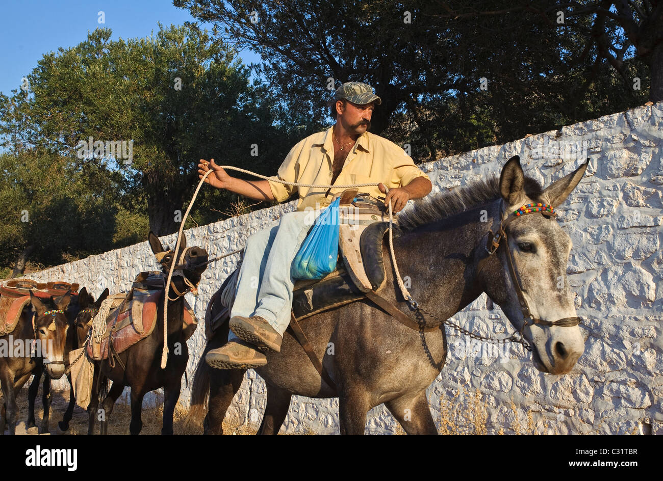 Greek farmer with his donkeys Stock Photo - Alamy