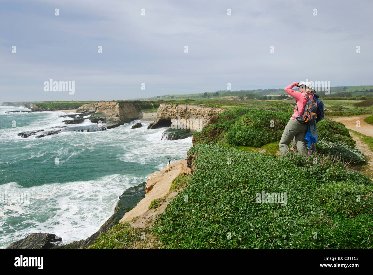 Dramatic views of the coastal bluffs of Wilder Ranch State Park in ...