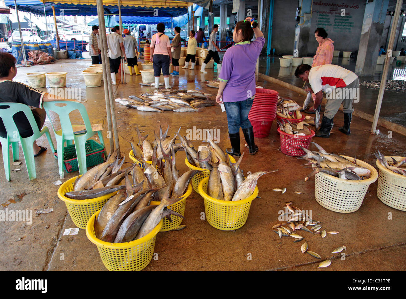 THE DAY’S CATCH IN BASKETS, FISH MARKET, PORT OF RANONG, THAILAND, ASIA ...