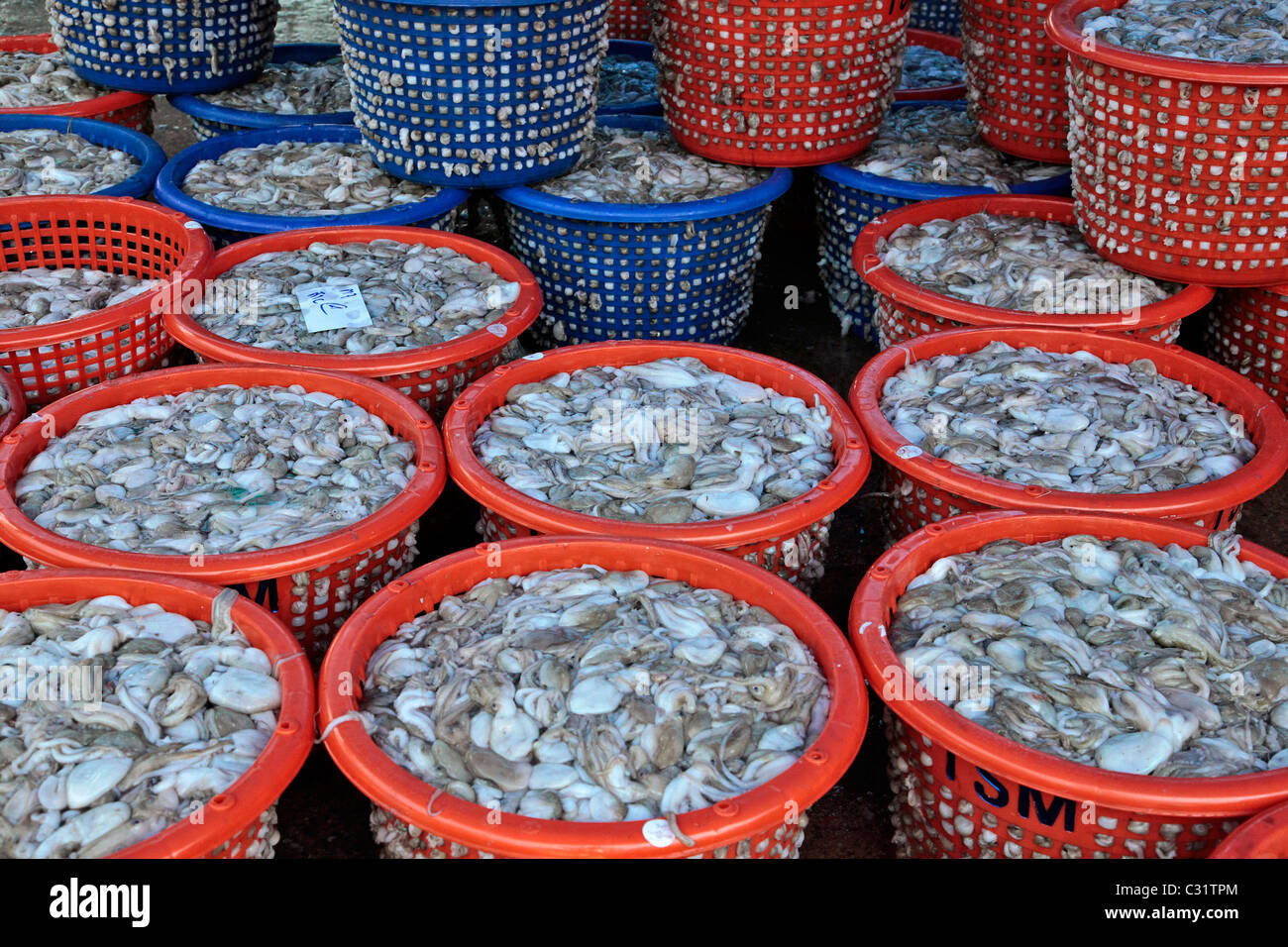 OCTOPUS AND CUTTLEFISH FOR SALE AT THE FISH MARKET IN THE FISHING PORT ...
