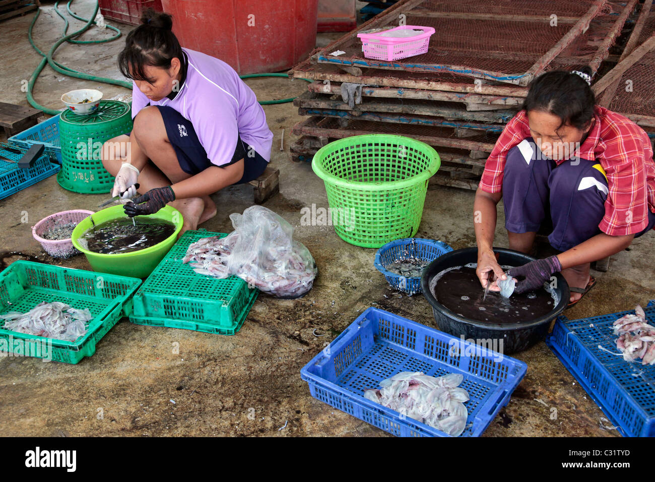 Cleaning squid hi-res stock photography and images - Alamy