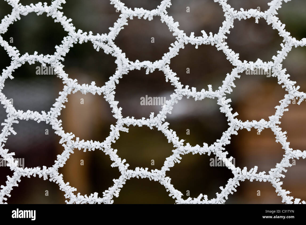 Frost pattern shape hi-res stock photography and images - Alamy