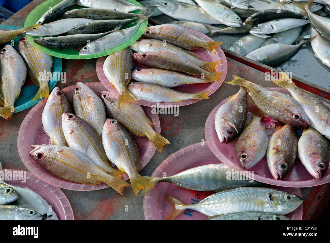 STALL SELLING FRESH FISH IN BUNCHES, MARKET IN BANG SAPHAN, THAILAND ...