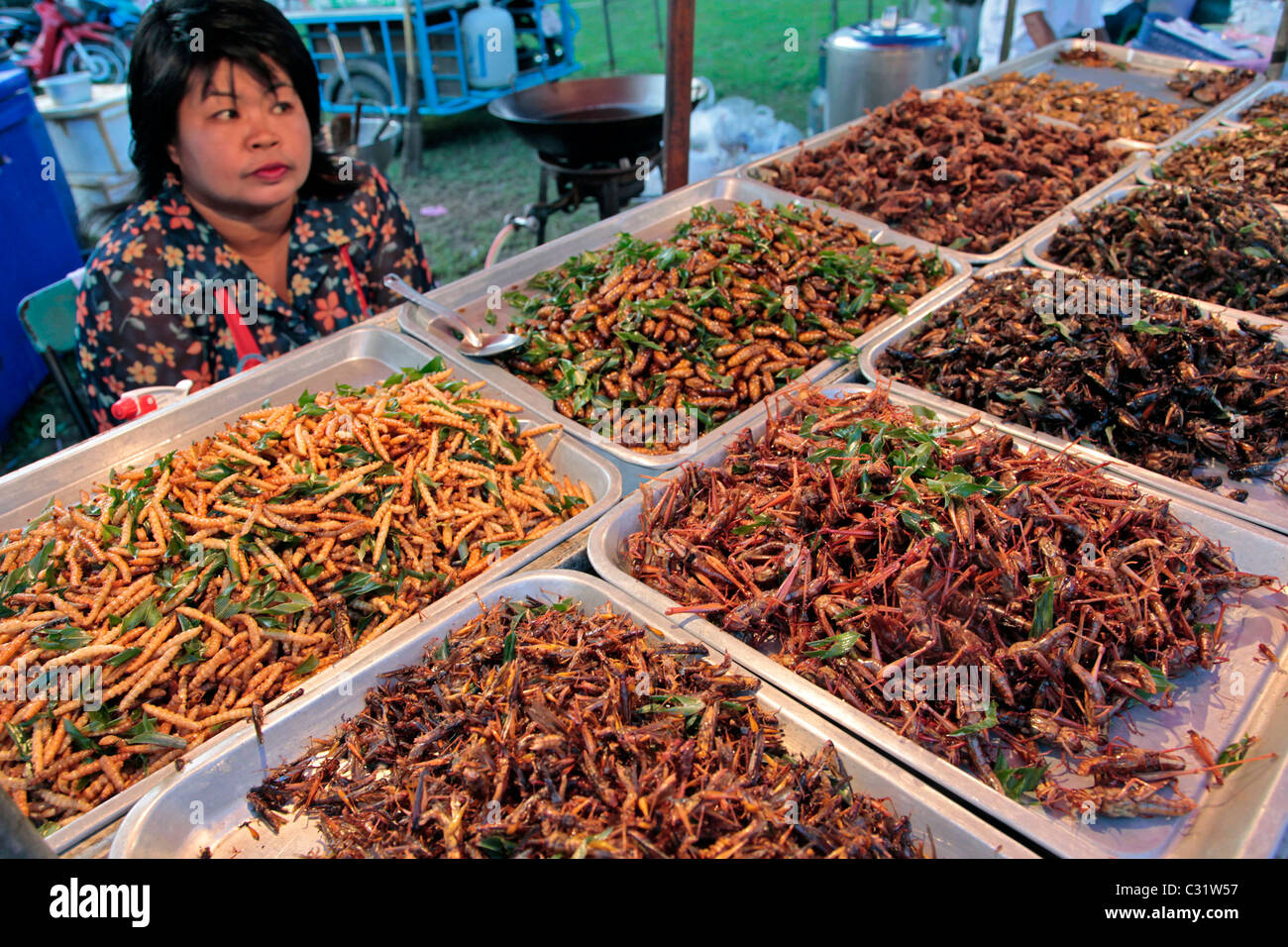 GRILLED INSECT SELLER, (SILKWORMS, GRASSHOPPERS, CICADAS, CRICKETS ...