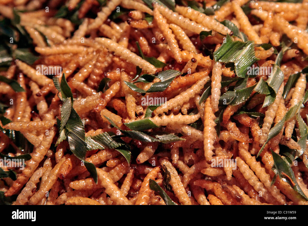 GRILLED INSECTS, (SILKWORMS, GRASSHOPPERS, CICADAS, CRICKETS), EVENING ...