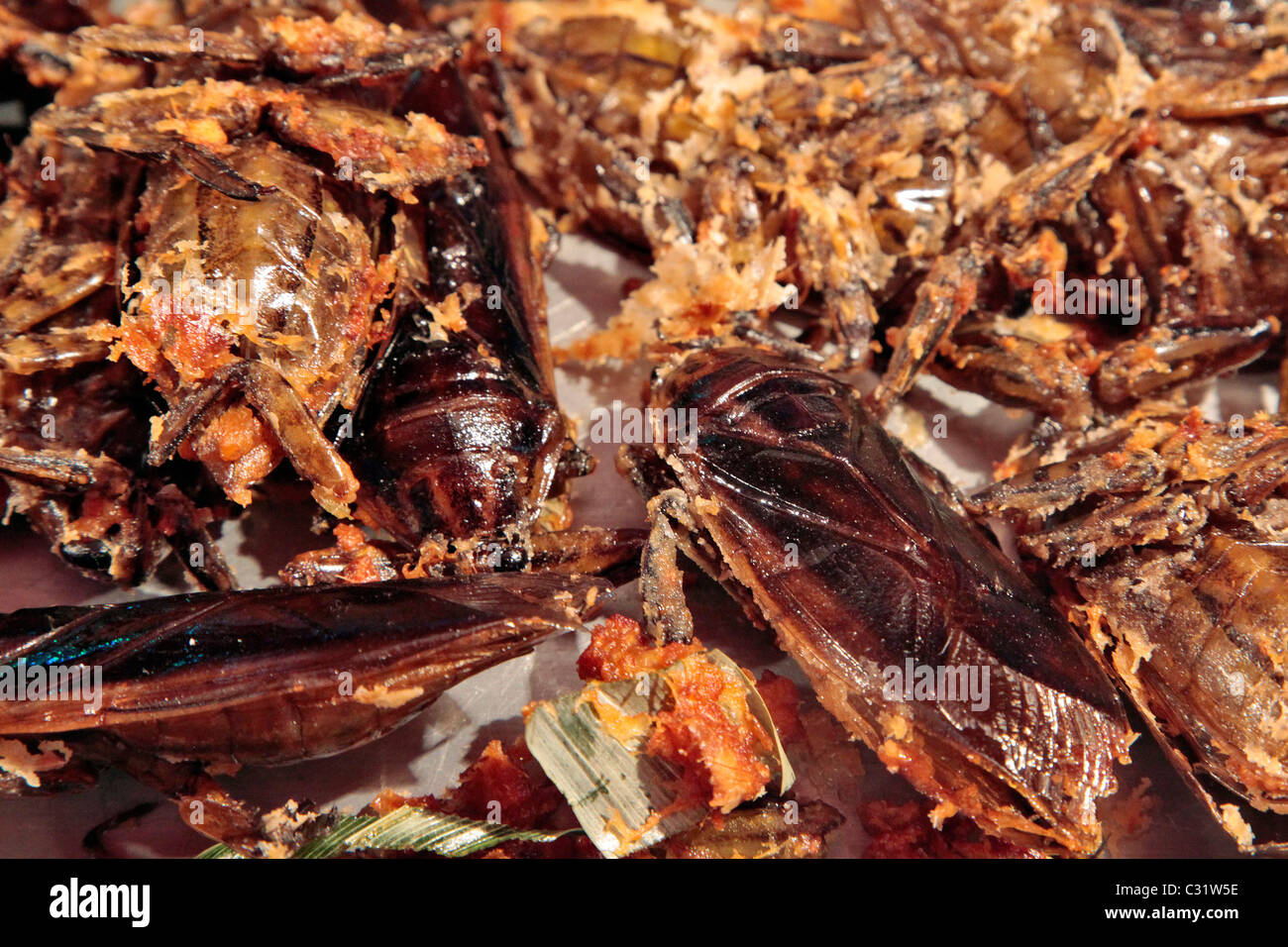 GRILLED INSECTS (CICADAS), EVENING MARKET, BANG SAPHAN, THAILAND, ASIA ...