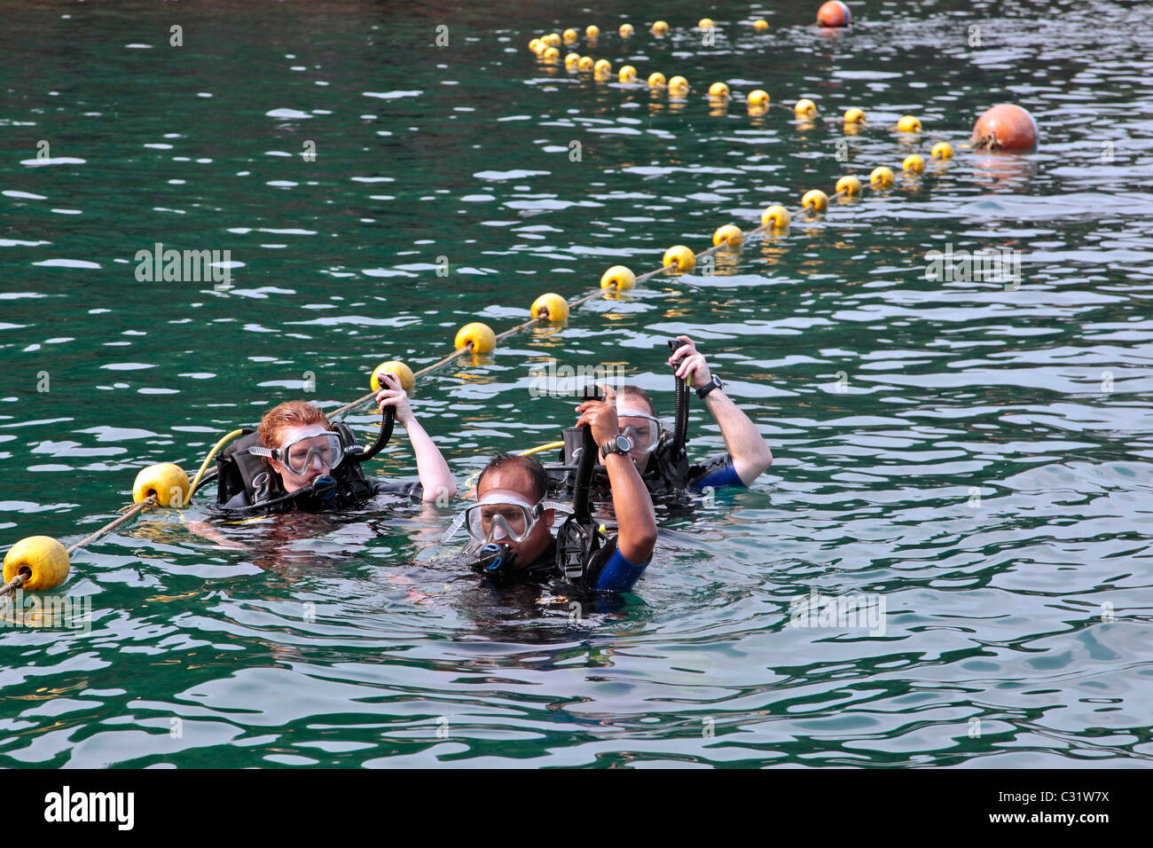 AN INTRODUCTION TO DEEP SEA DIVING WITH GOGGLES AND SNORKEL, KHO THALU ...