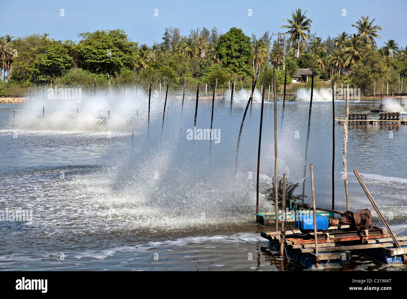 Thailand Shrimp Farm High Resolution Stock Photography and Images - Alamy