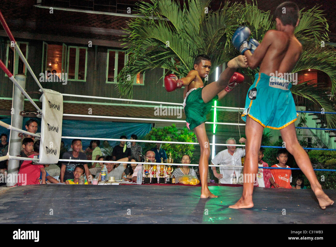 Boxing Match Audience High Resolution Stock Photography and Images - Alamy