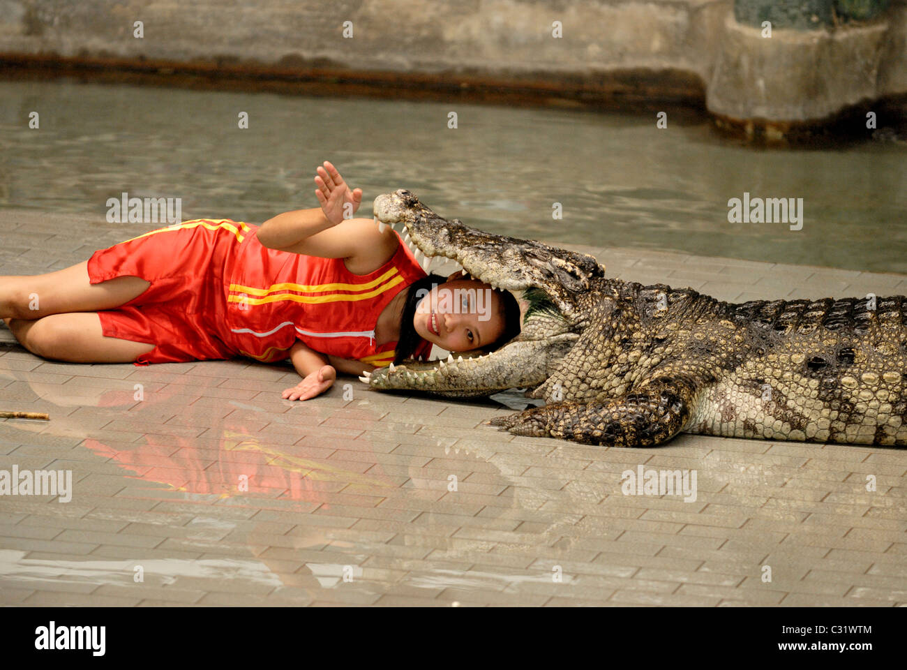 Crocodile show hi-res stock photography and images - Alamy