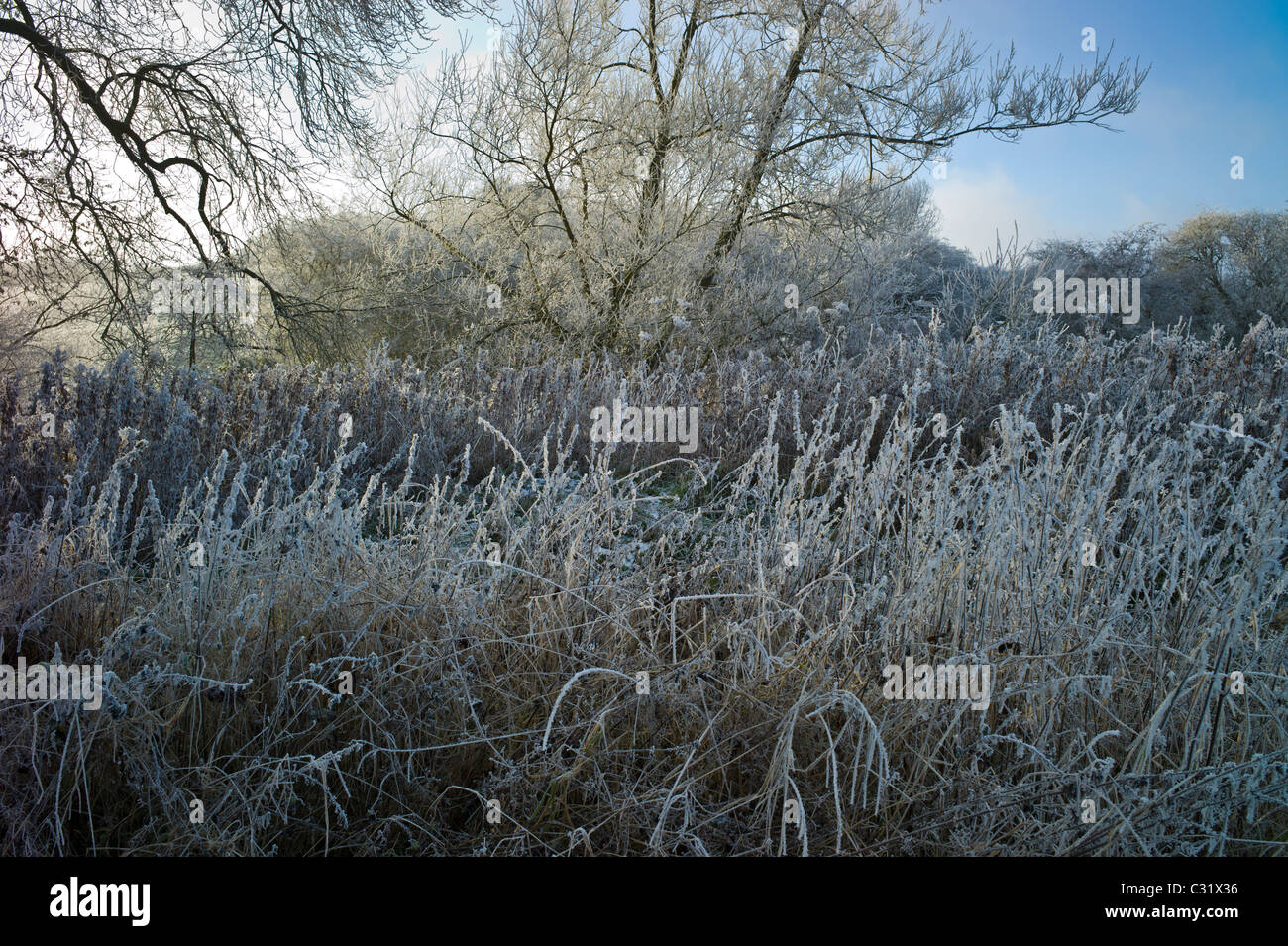 Frosty cold winter countryside landscape hi-res stock photography and ...