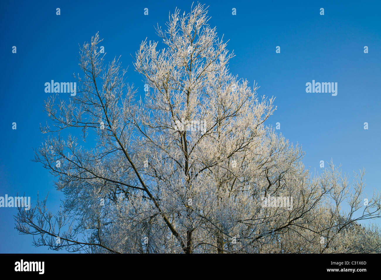 Hoar frost uk landscape hi-res stock photography and images - Alamy