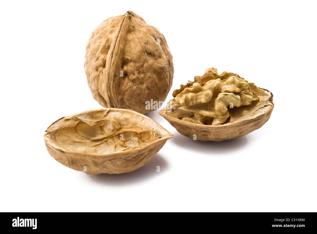 White nutshell hi-res stock photography and images - Alamy