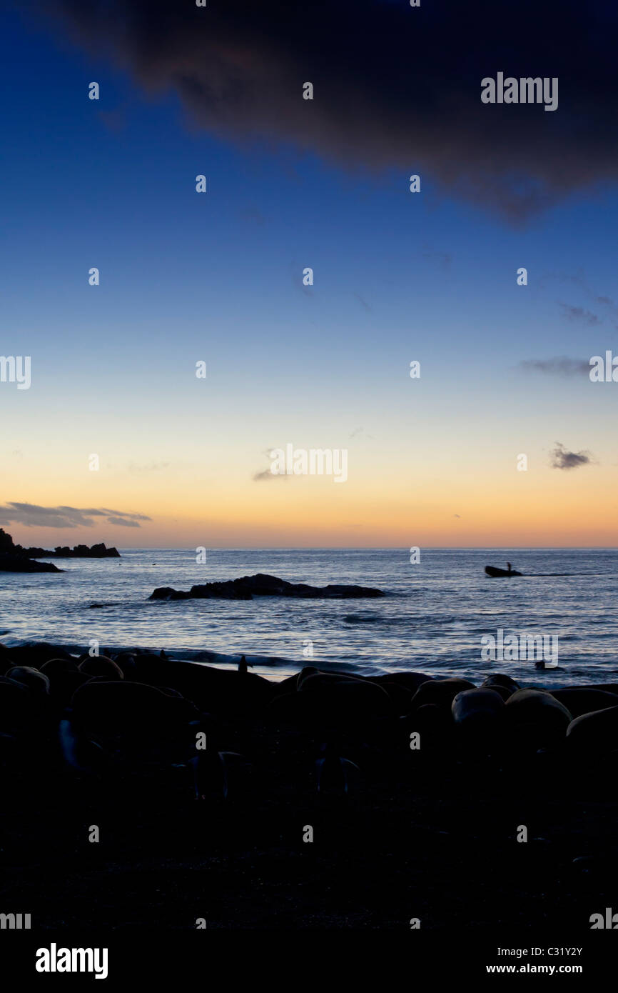 Dawn at Gold Harbour, South Georgia Island Stock Photo - Alamy