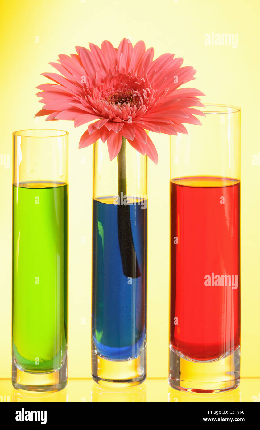 Vases with multi-coloured water on yellow background Stock Photo - Alamy