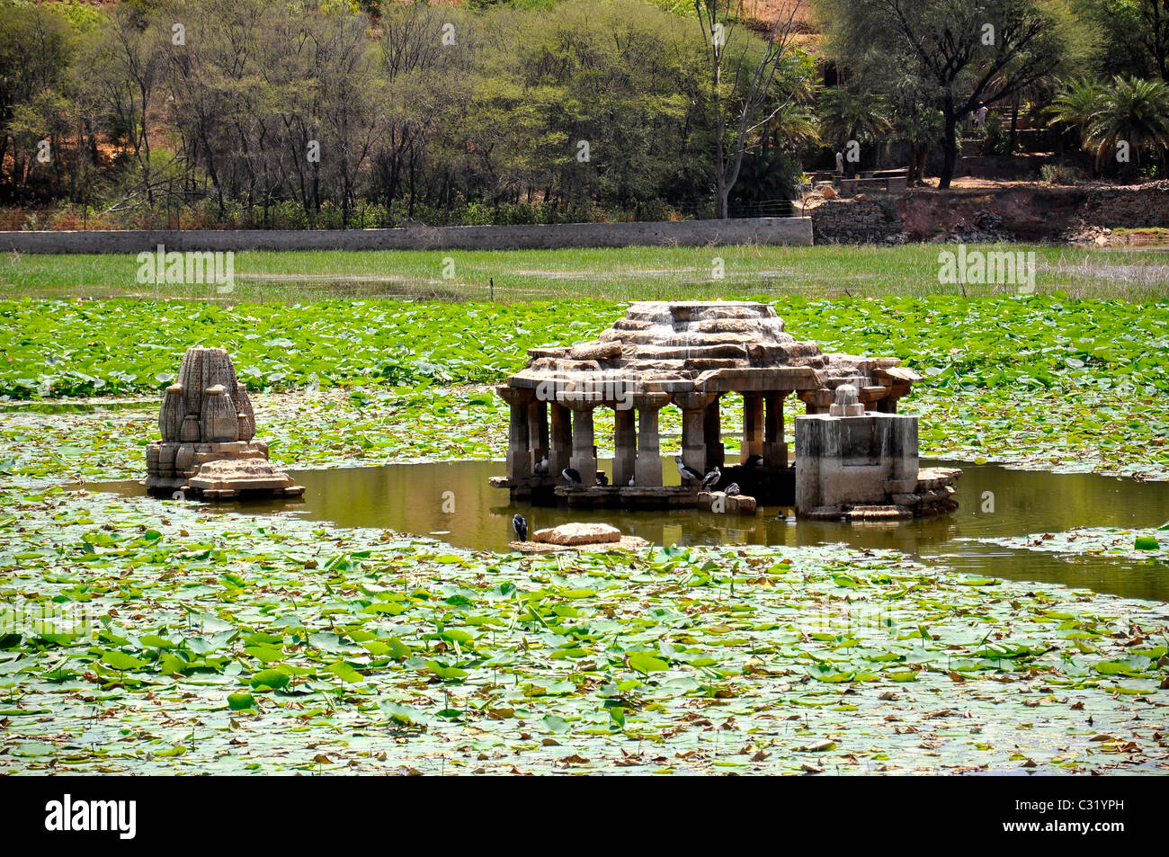 A small temple in the middle of water in Nagada of Mewar, Udaipur ...