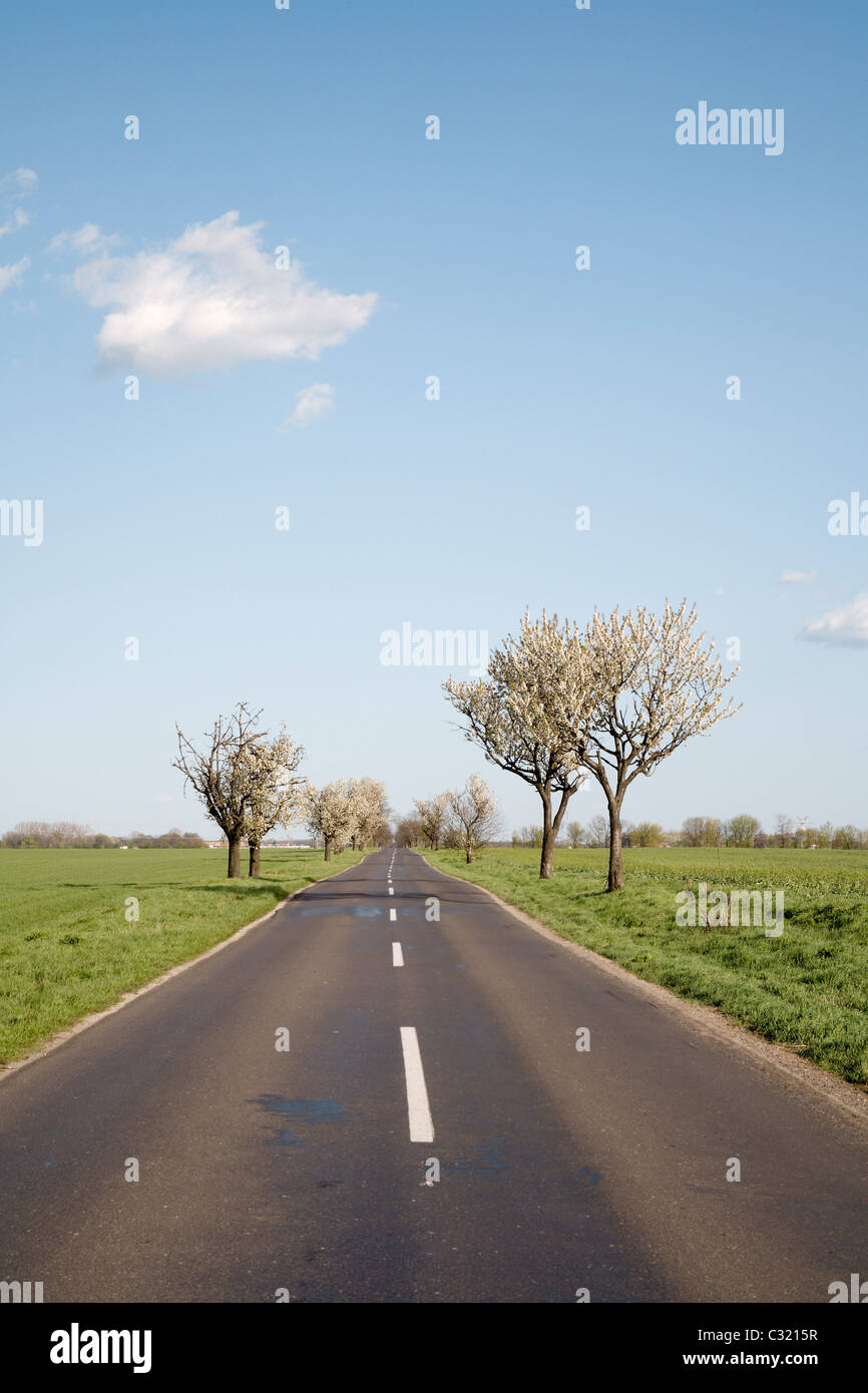 way in the spring landscape Stock Photo - Alamy