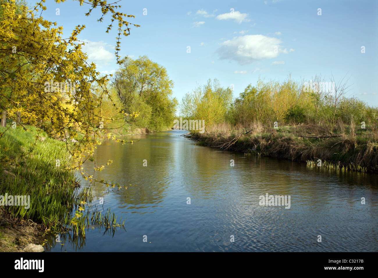 Little river in spring hi-res stock photography and images - Alamy