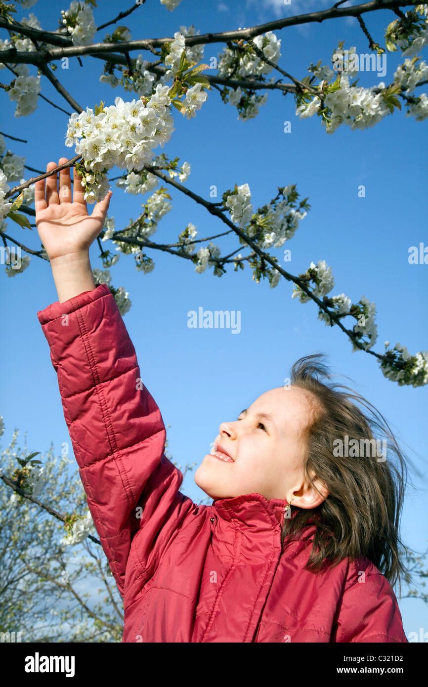 little girl and the cherry-tree flowers Stock Photo - Alamy