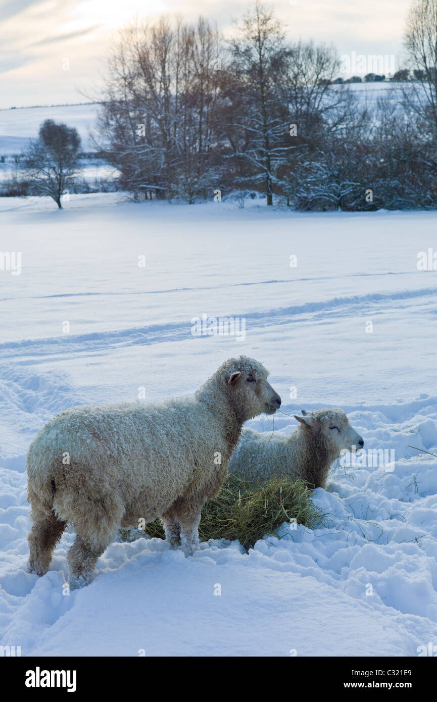 English village covered in deep snow hi-res stock photography and ...