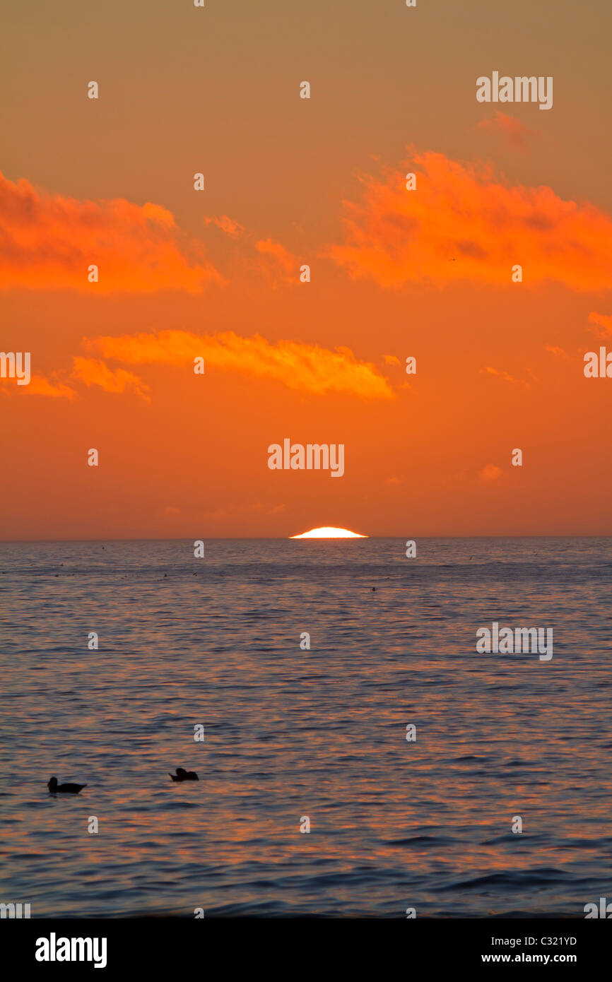 South georgia island sunrise hi-res stock photography and images - Alamy