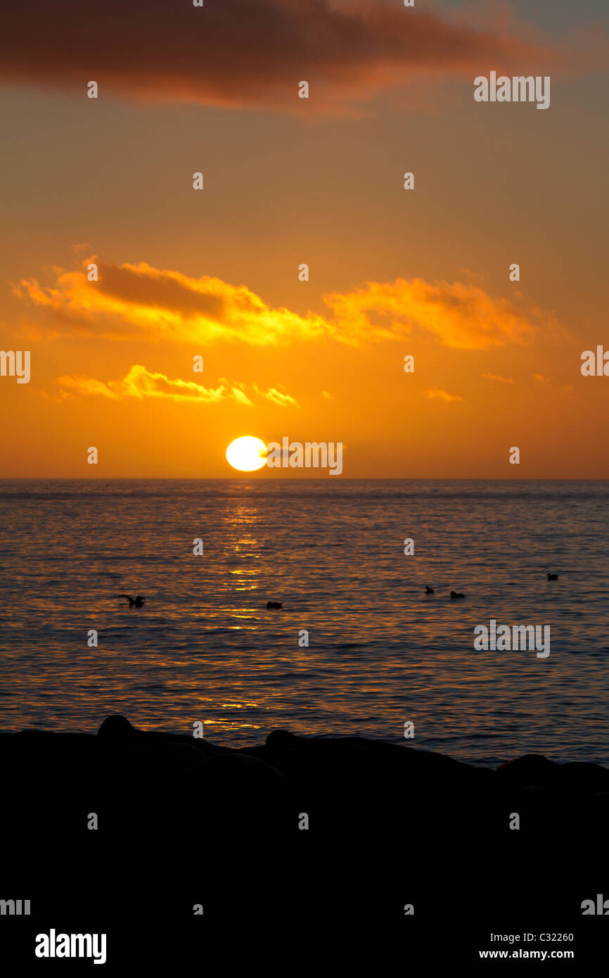 South georgia island sunrise hi-res stock photography and images - Alamy