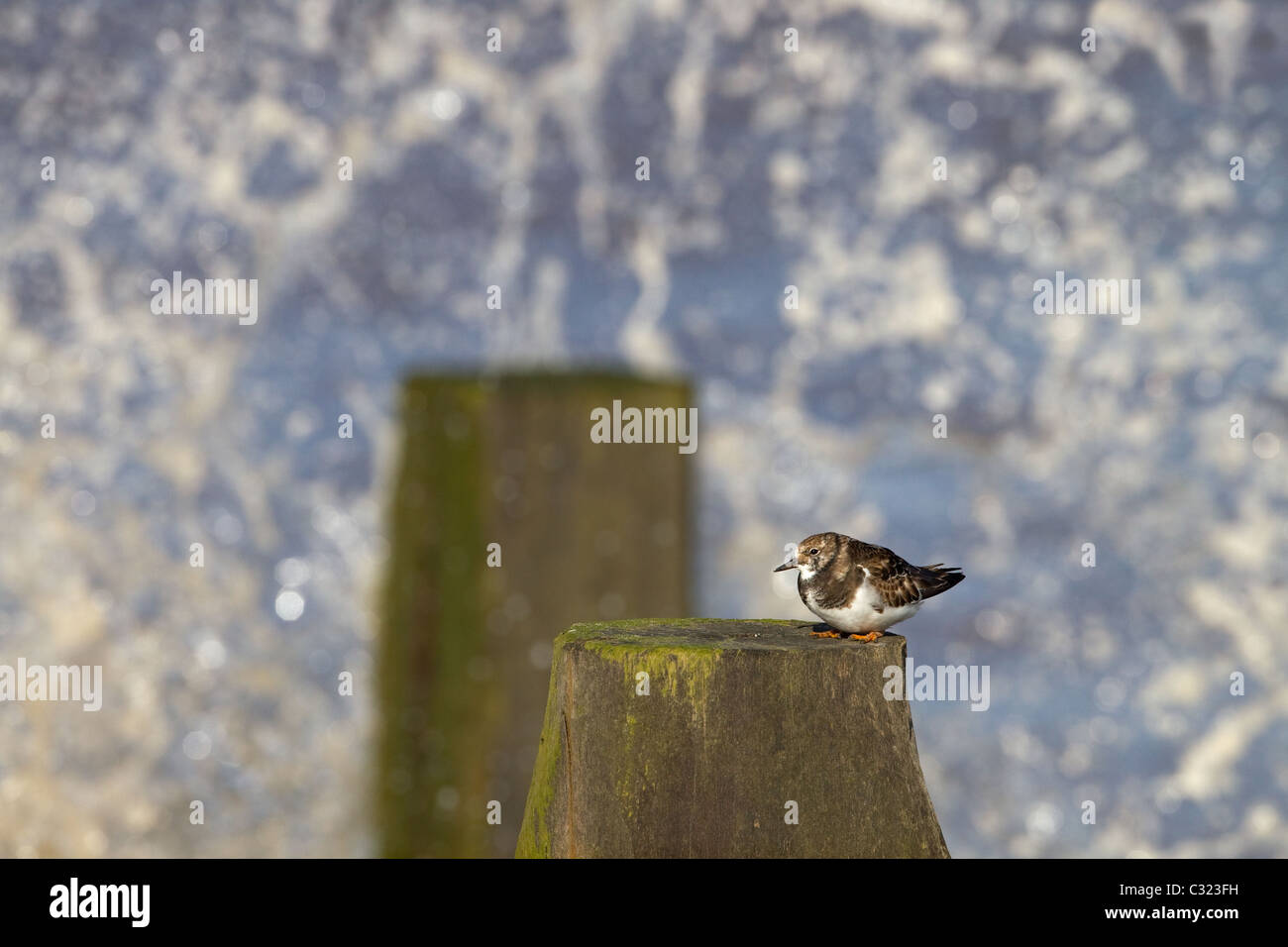 Migration wave hi-res stock photography and images - Alamy