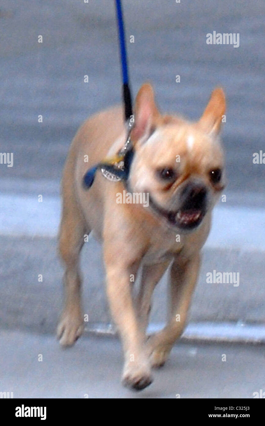 Brody jenners mother hi-res stock photography and images - Alamy