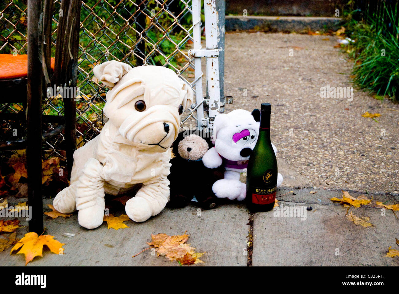 HUDSON MURDER SUSPECT ARRESTED, STAR'S NEPHEW STILL MISSING LATEST ...