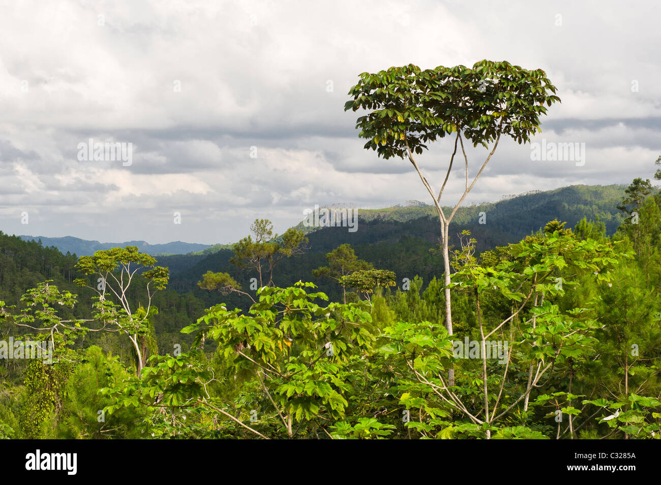 Landscape between Guantanamo and Baracoa, Guantanamo province, Cuba ...