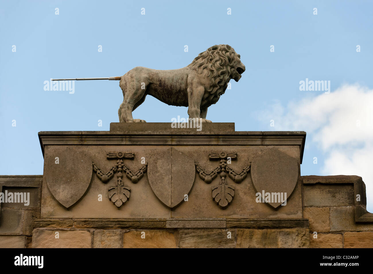Percy lion hi-res stock photography and images - Alamy