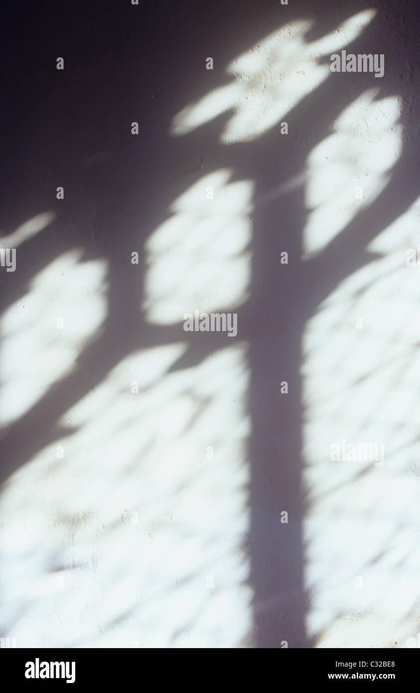 Projection window hi-res stock photography and images - Alamy