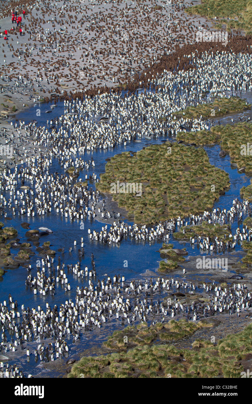 Gold harbour south georgia aerial hi-res stock photography and images ...