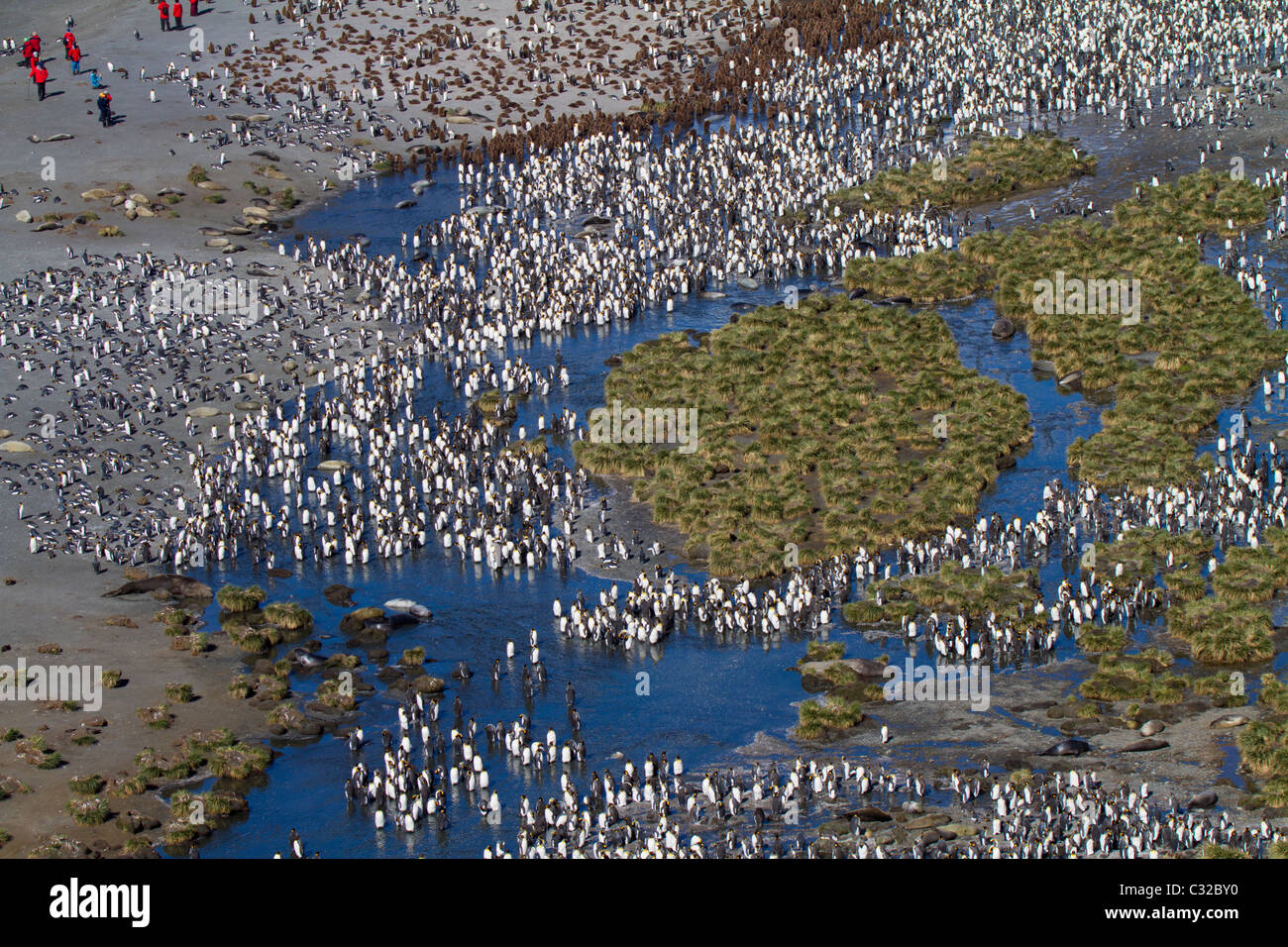 Gold harbour south georgia aerial hi-res stock photography and images ...