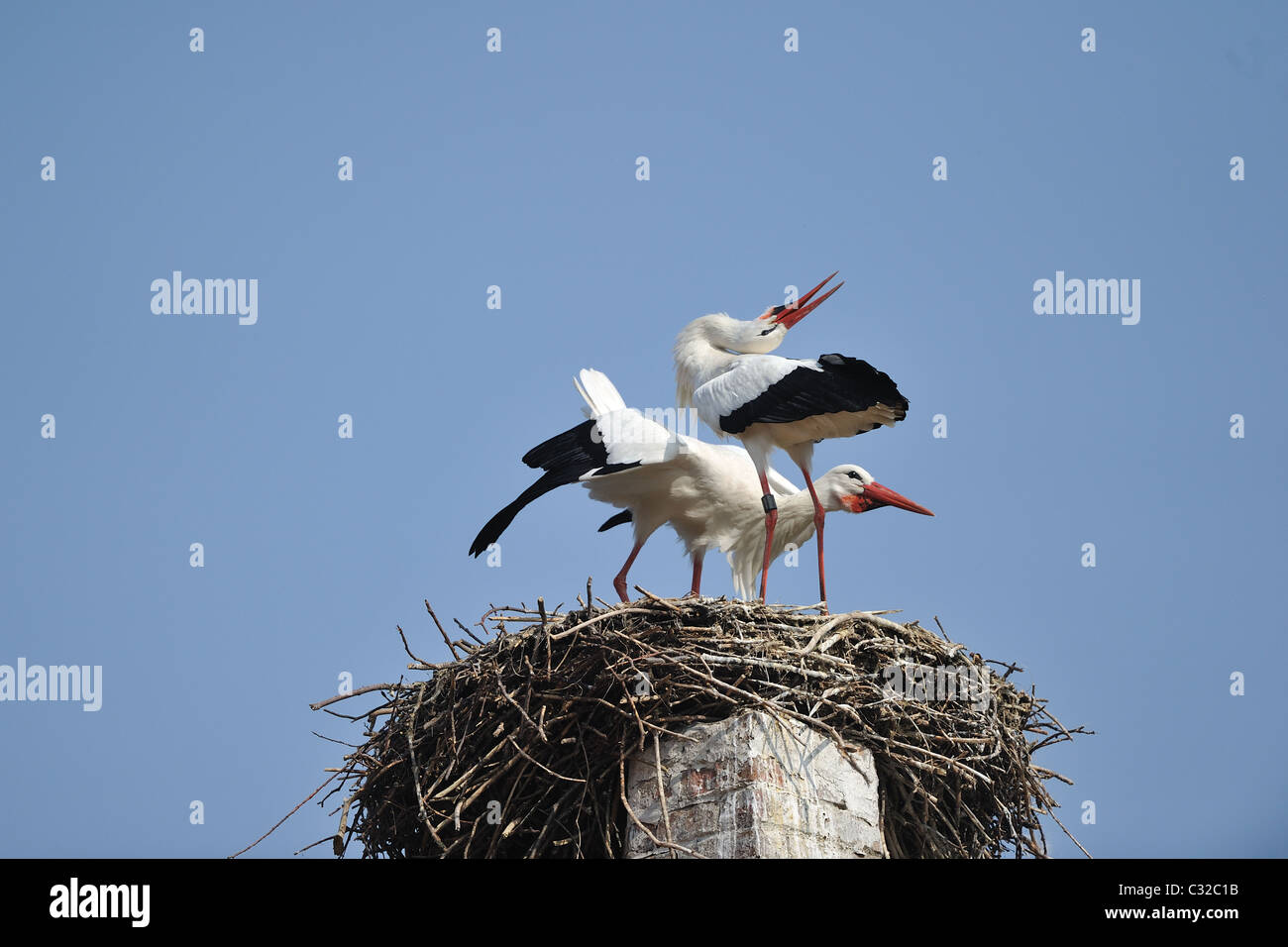 Bill clattering hi-res stock photography and images - Alamy