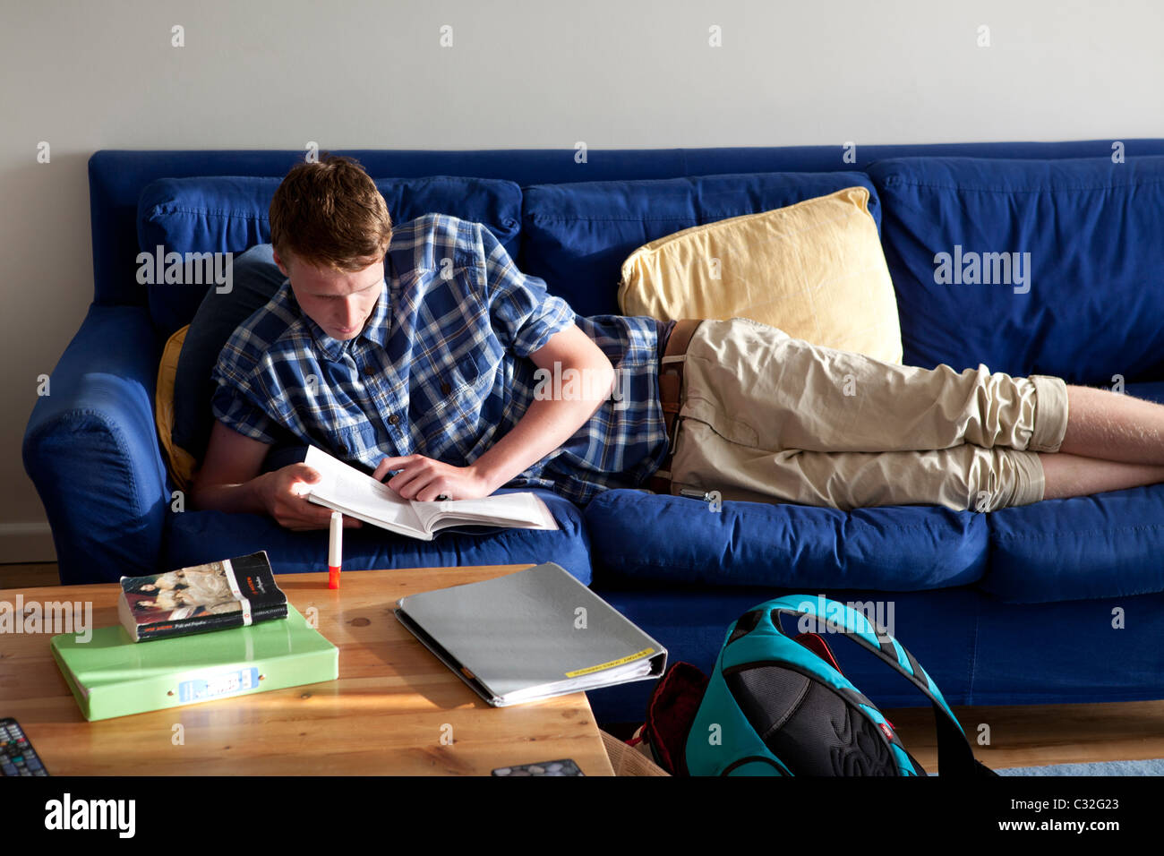 Teenage boys revising at home for A levels Stock Photo - Alamy
