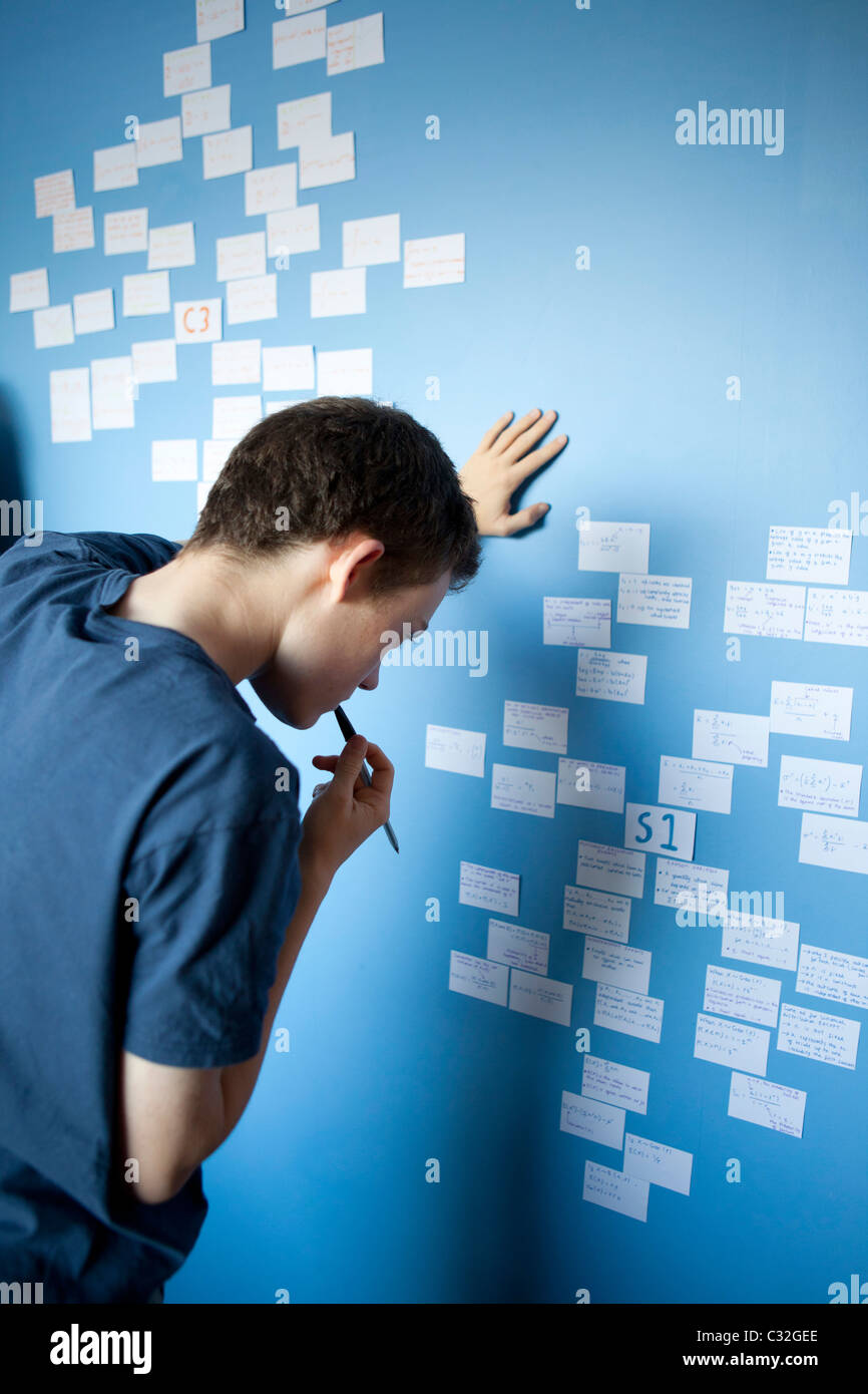 Teenage boy revising for Maths A Level with revision cards stuck on his ...