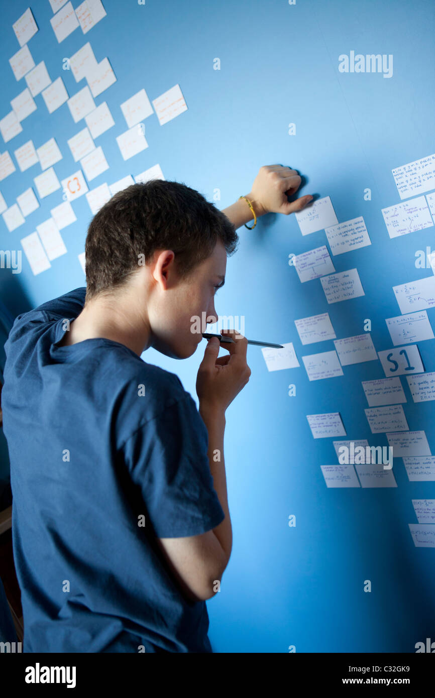 Teenage boy revising for Maths A Level with revision cards stuck on his ...