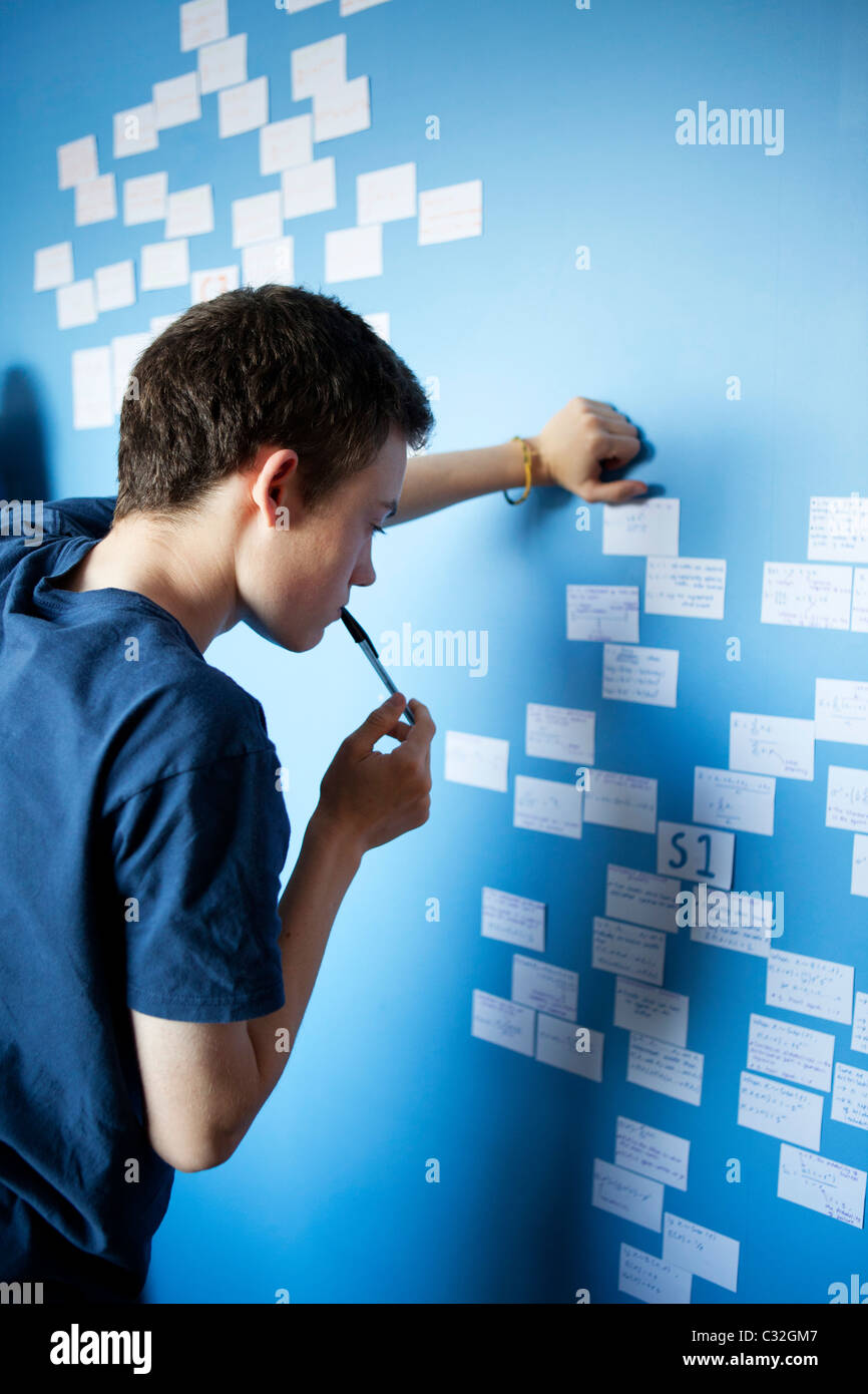 Teenage boy revising for Maths A Level with revision cards stuck on his ...