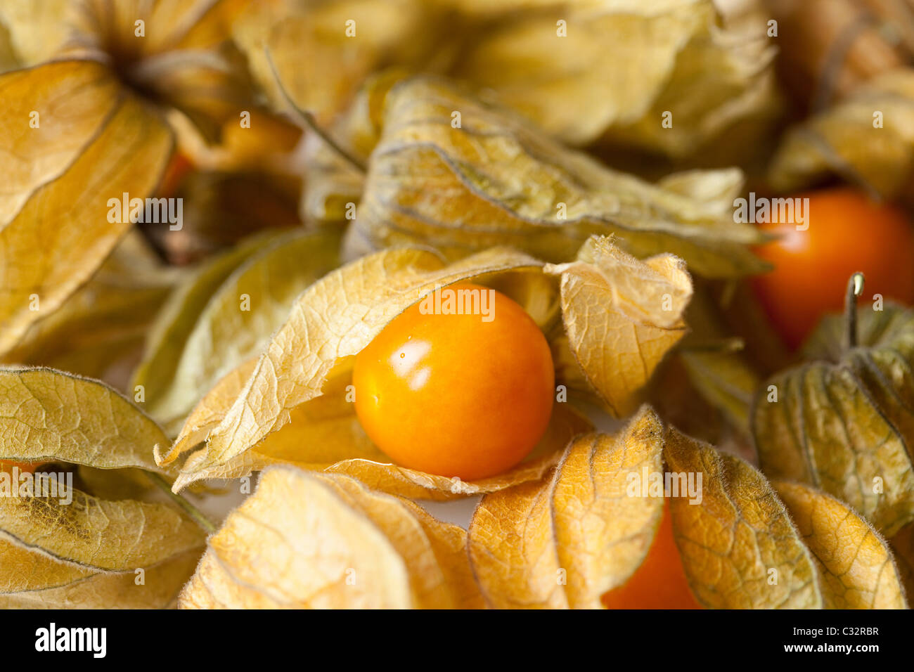 Physalis open hi-res stock photography and images - Alamy