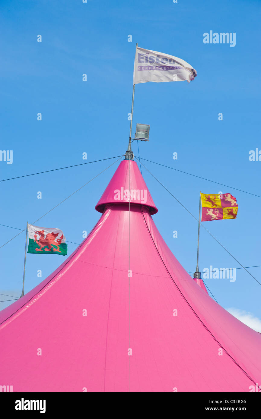 View of the pink pavilion with flags at National Eisteddfod of Wales ...