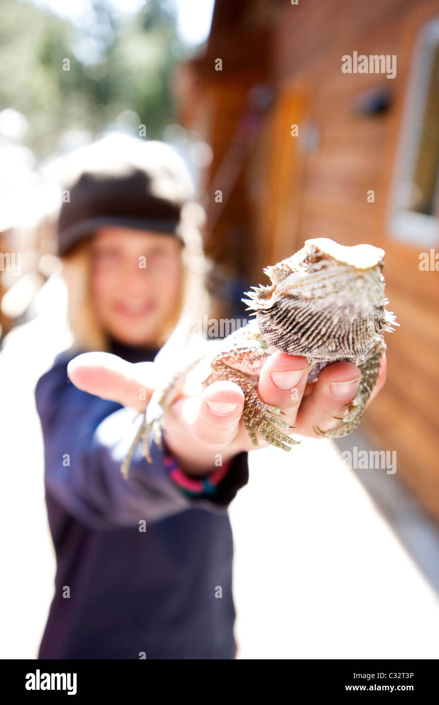 Boy bearded dragon hi-res stock photography and images - Alamy