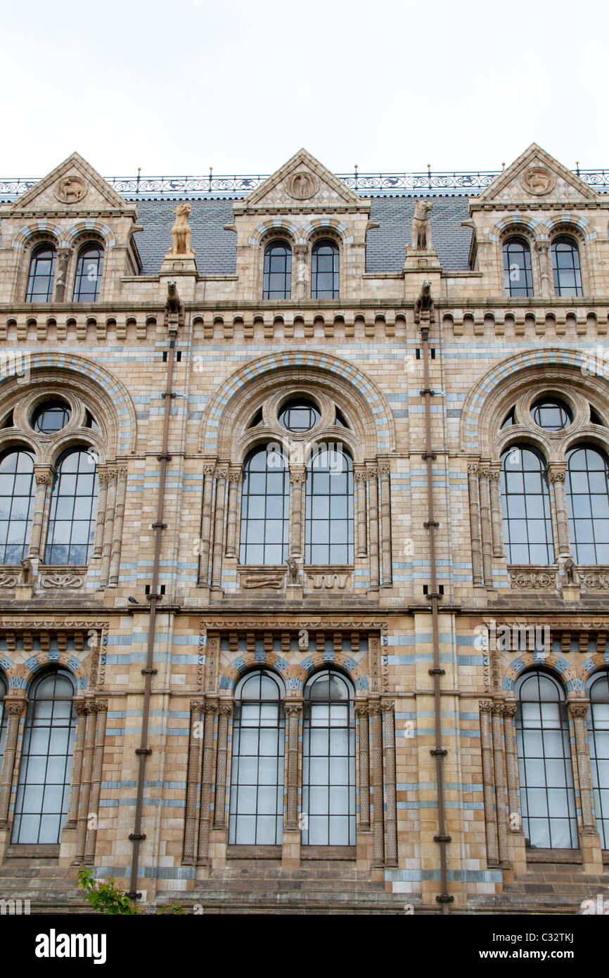 Window's details of Natural History Museum, London Stock Photo - Alamy