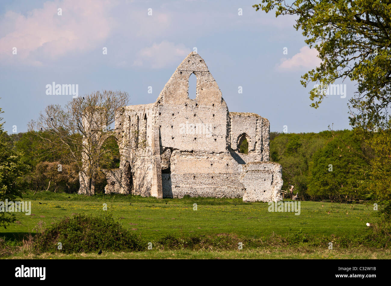 Newark Priory near Ripley, Surrey, England Stock Photo - Alamy