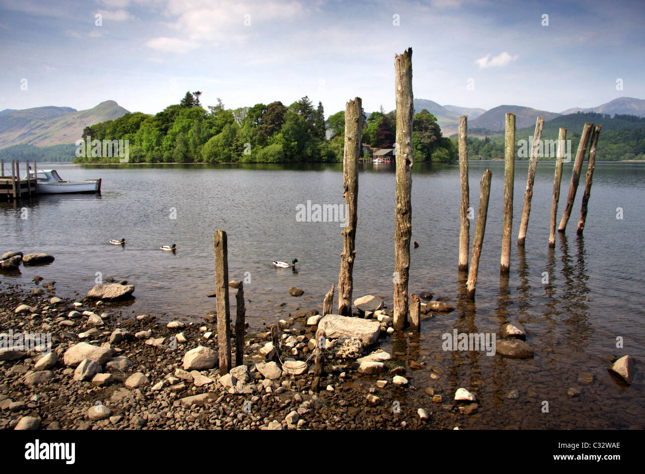 Derwentwater in the Lake District by Keswick, Cumbria Stock Photo - Alamy