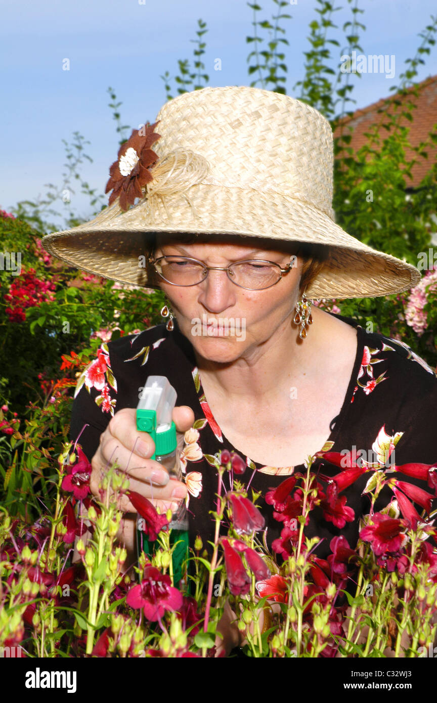 Gardening woman applying spray Stock Photo - Alamy