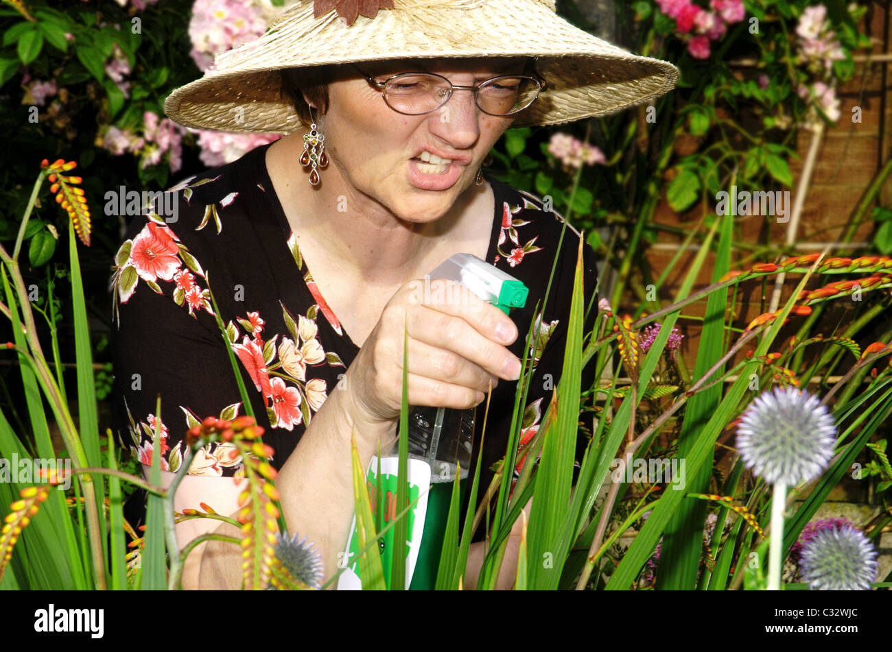 Gardening woman applying spray Stock Photo - Alamy